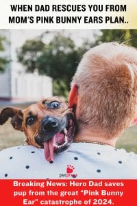 Funny Dog Easter Memes: Get Ready to Crack Up! - PetPress