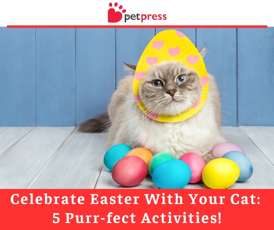 Celebrate Easter With Your Cat: 5 Purr-fect Activities! - PetPress