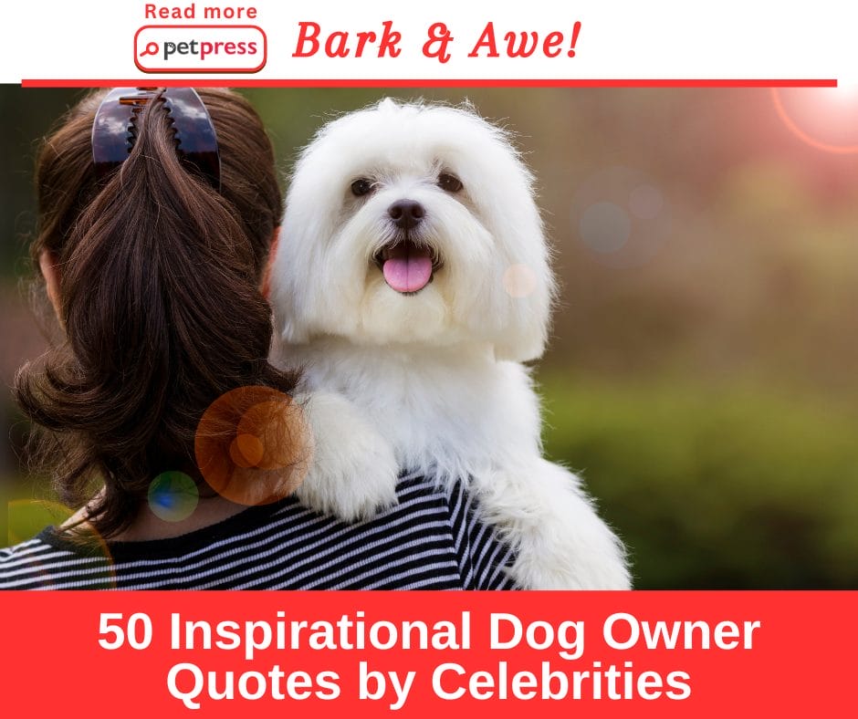 Bark & Awe: 50 Inspirational Dog Owner Quotes by Celebrities - PetPress