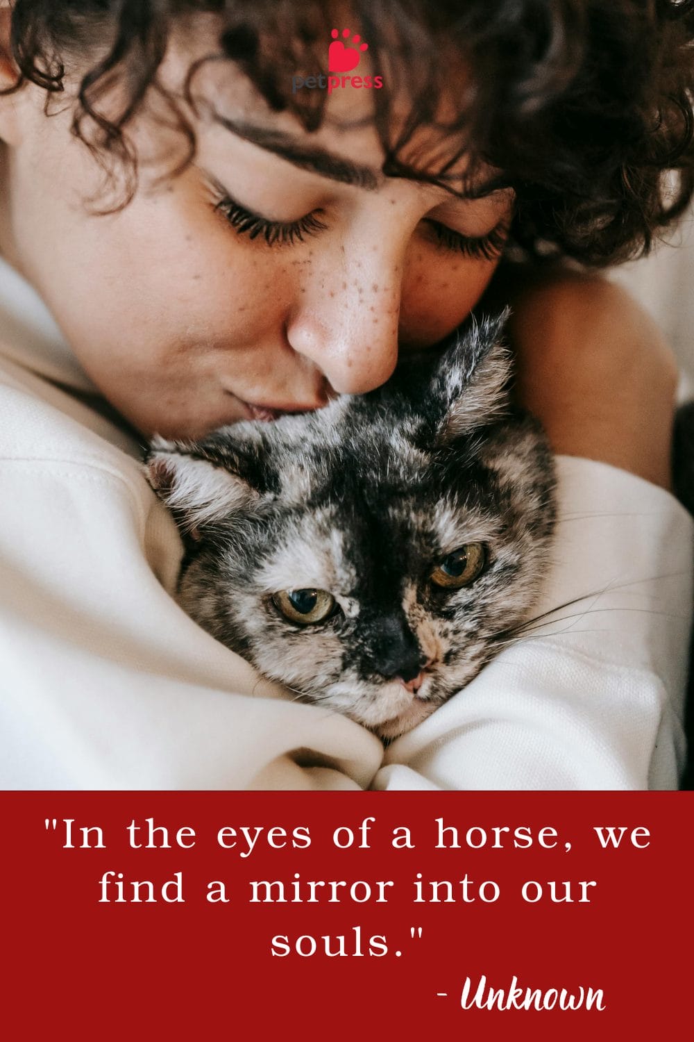 Famous Quotes About Animal Companionship Will make you awe - PetPress