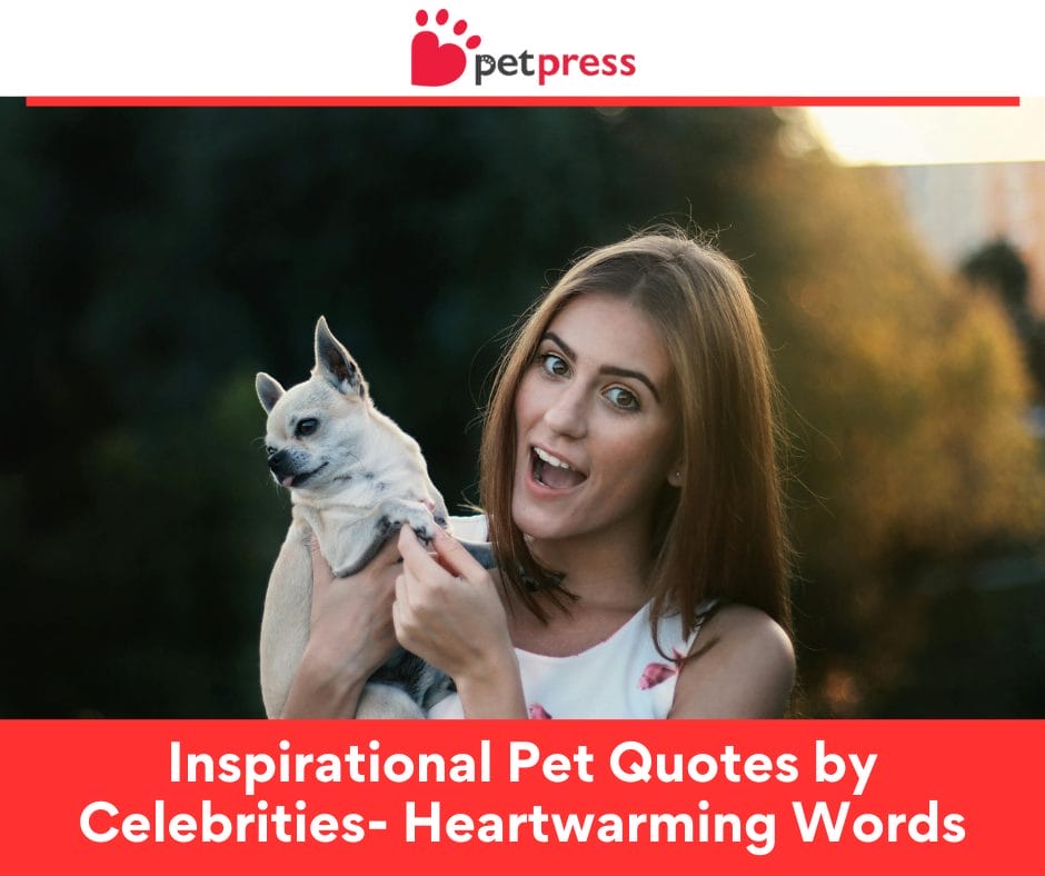 Inspirational Pet Quotes by Celebrities- Heartwarming Words - PetPress