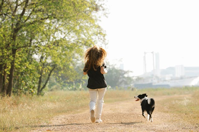 Paws for the Cause: Essential Dog Jogging Tips for a Happy Run