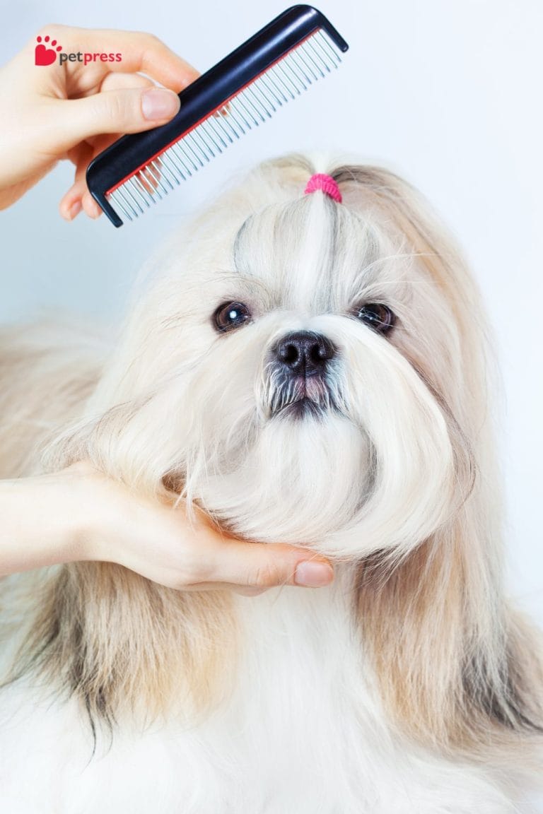 Best Solutions for Shedding Dogs with Long Fur