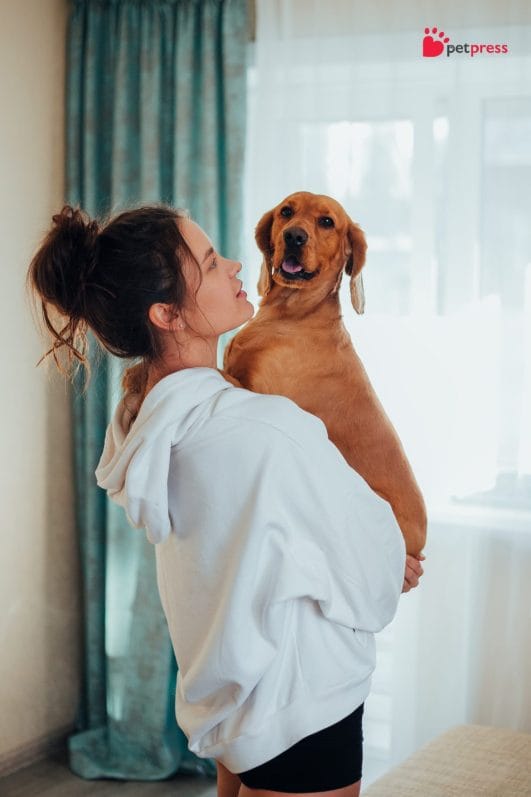 New to Paws? A Perfect Guide for First-Time Dog Owners - PetPress