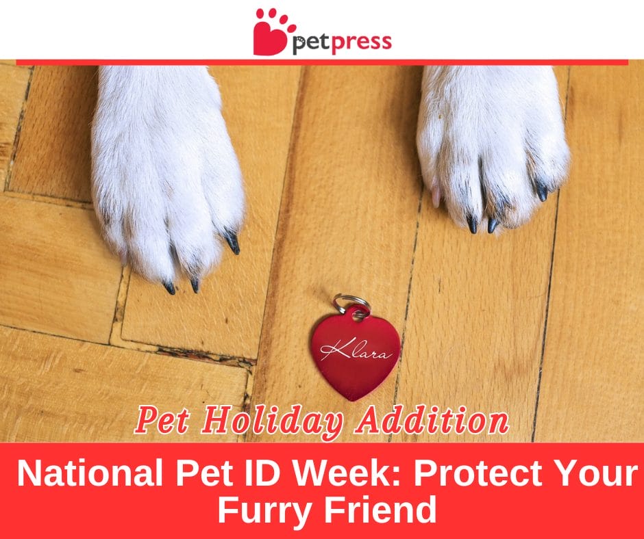 National Pet ID Week: Protect Your Furry Friend - PetPress