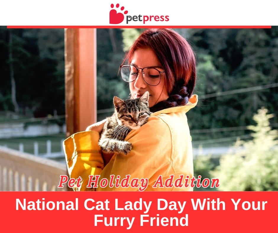 National Cat Lady Day With Your Furry Friend - PetPress