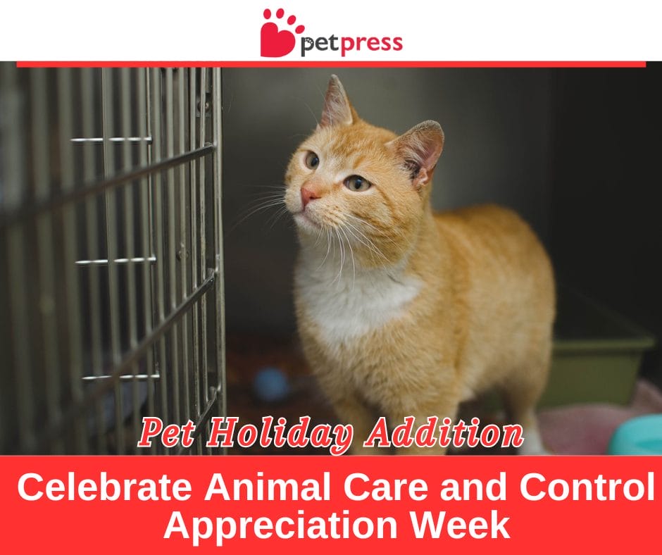 Celebrate Animal Care and Control Appreciation Week - PetPress