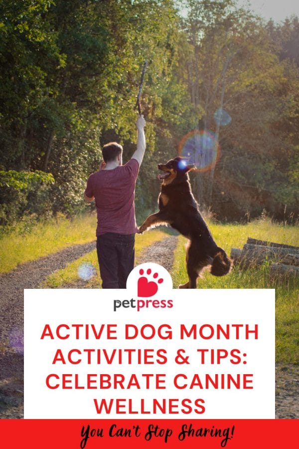 Active Dog Month Activities & Tips: Celebrate Canine Wellness - PetPress