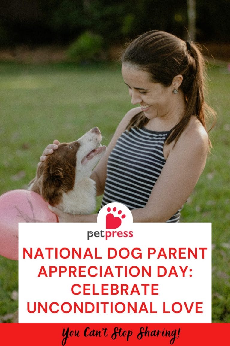 National Dog Parent Appreciation Day: Celebrate Unconditional Love ...