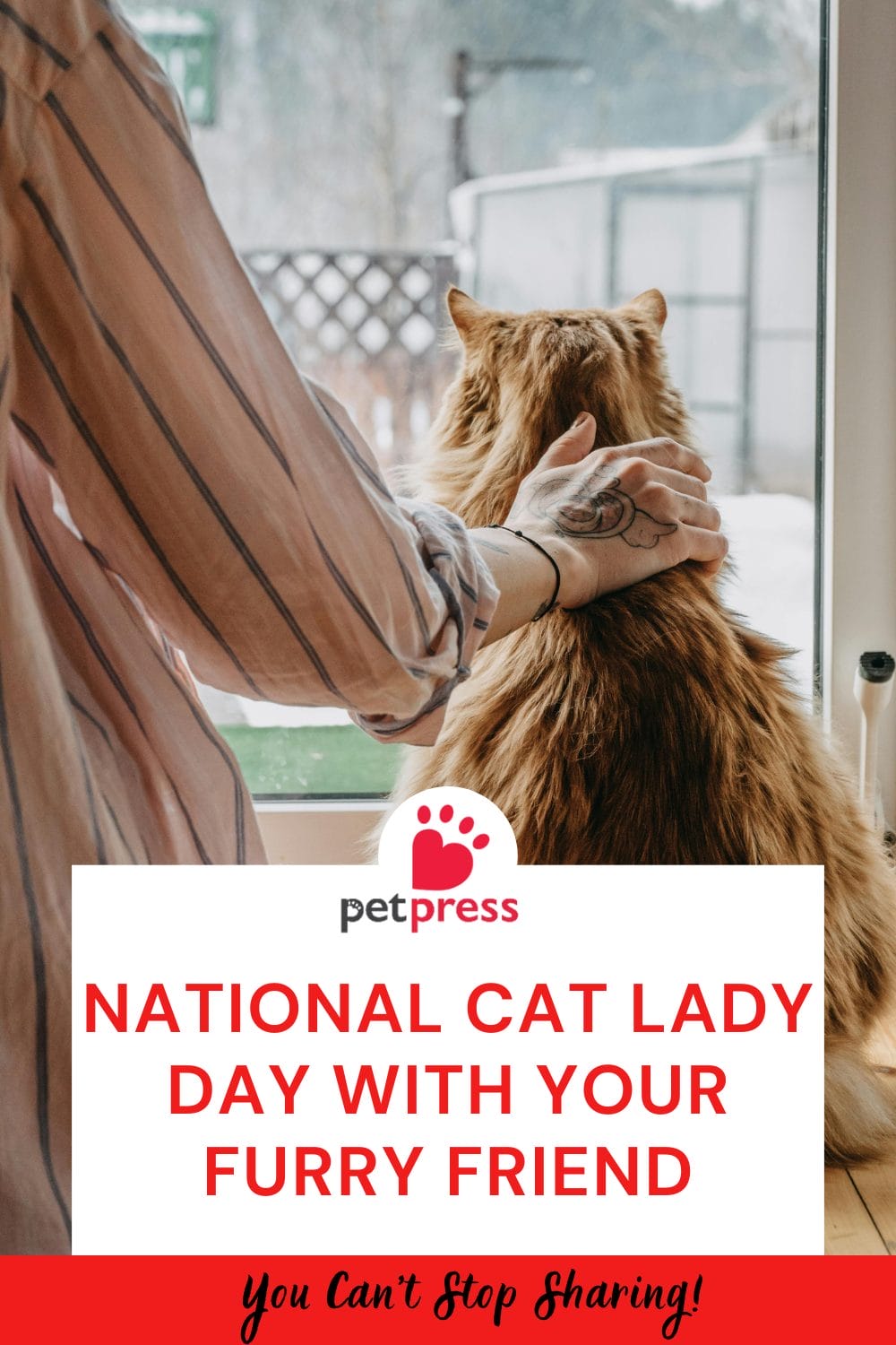 National Cat Lady Day With Your Furry Friend - PetPress