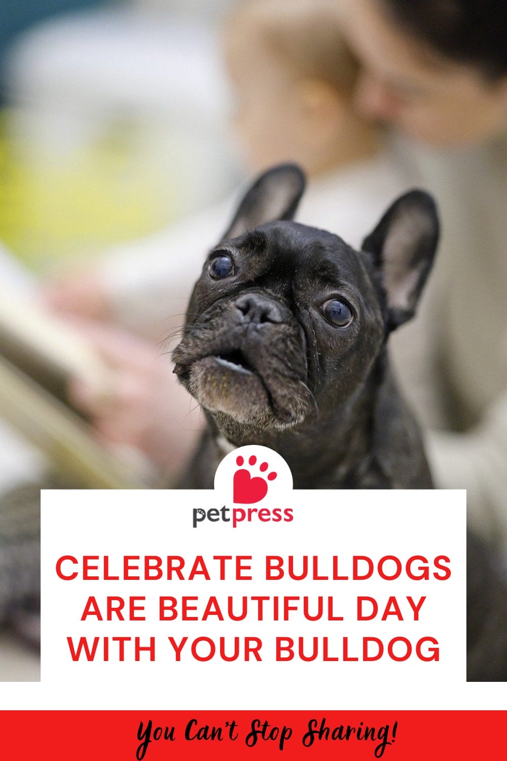 Celebrate Bulldogs are Beautiful Day with your Bulldog - PetPress
