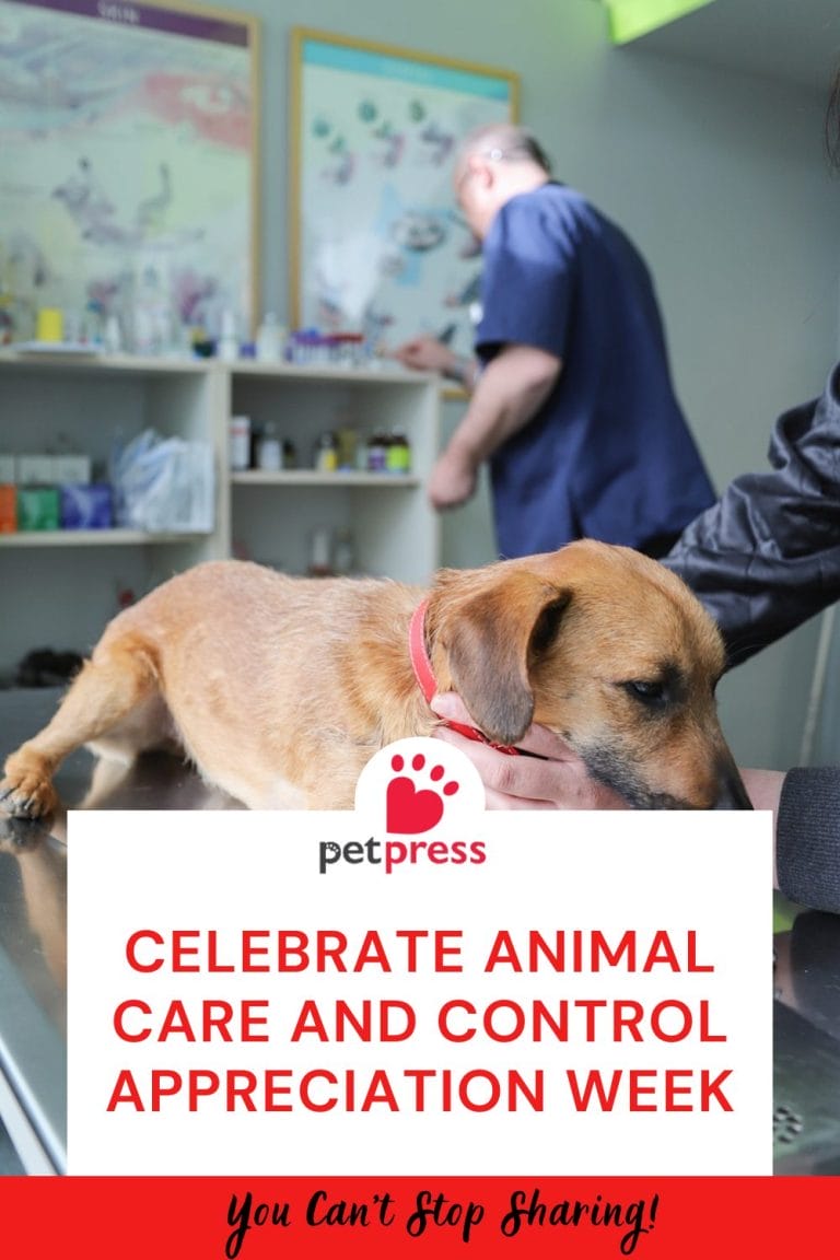 Celebrate Animal Care and Control Appreciation Week - PetPress