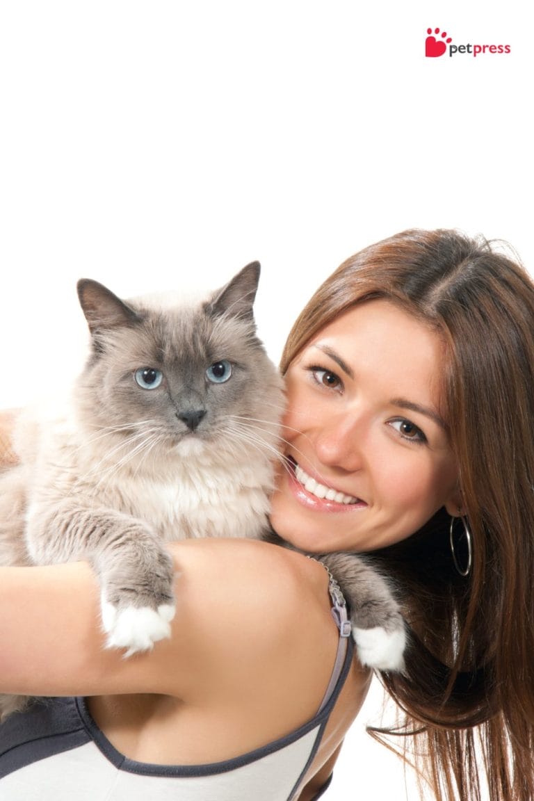 Meet The 10 Most Affectionate Cat Breeds For Families - PetPress