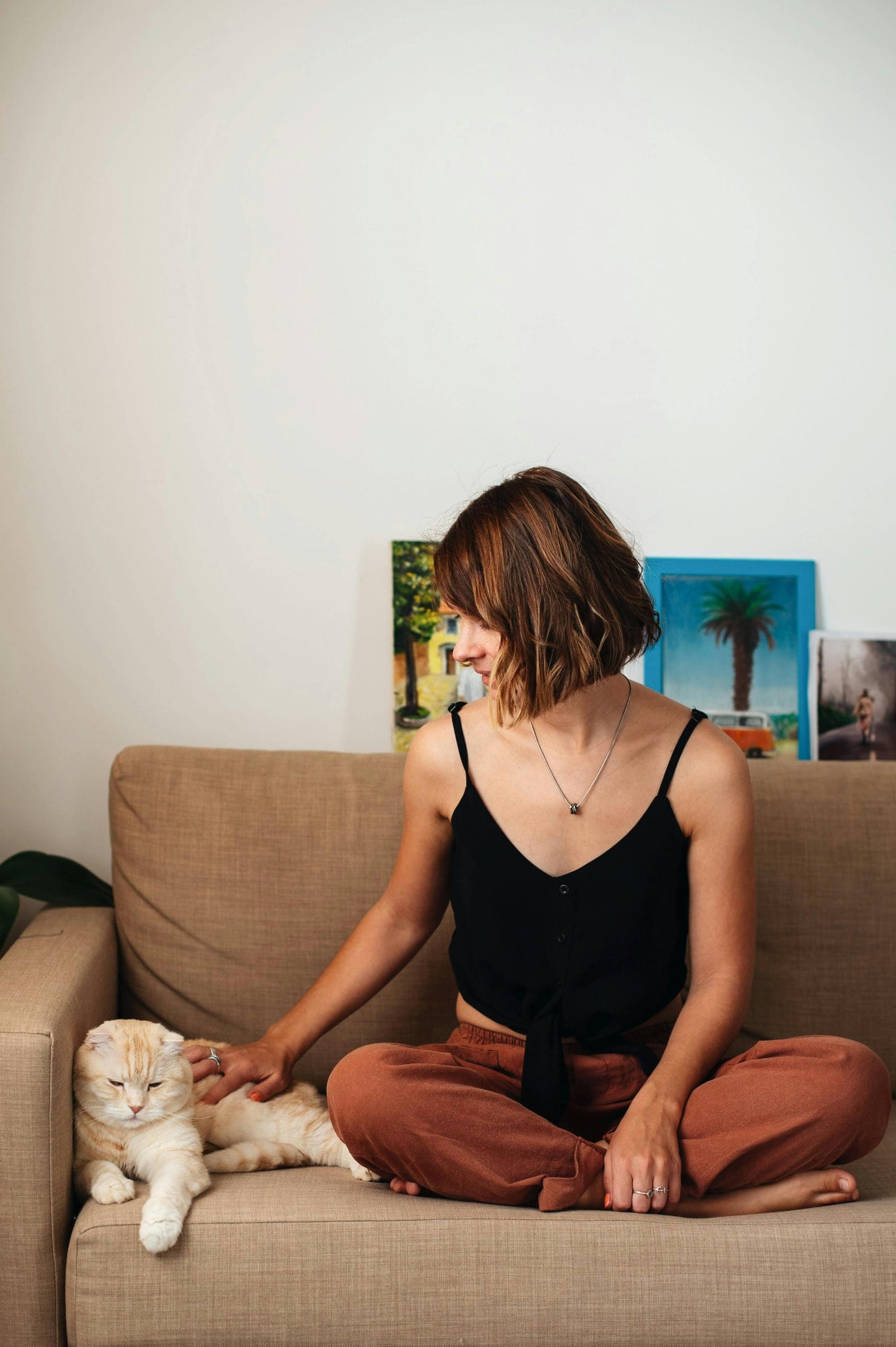 National Cat Lady Day With Your Furry Friend - PetPress