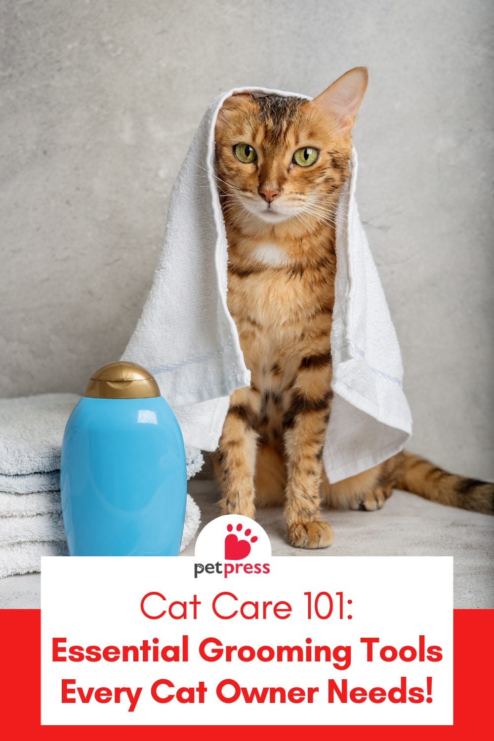Cat Care 101: Essential Grooming Tools Every Cat Owner Needs! - PetPress
