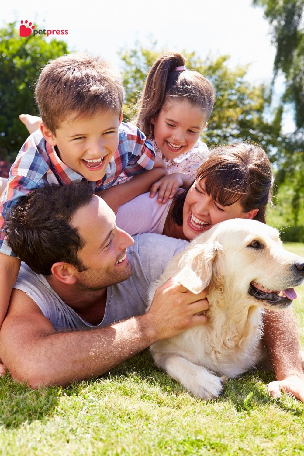 Dog Breed That Matches Your Lifestyle: How To Find Yours - PetPress