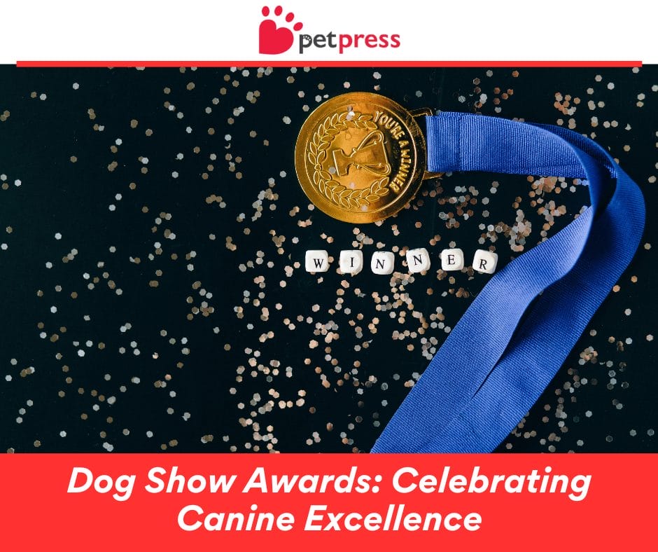 Dog Show Awards: Celebrating Canine Excellence - PetPress