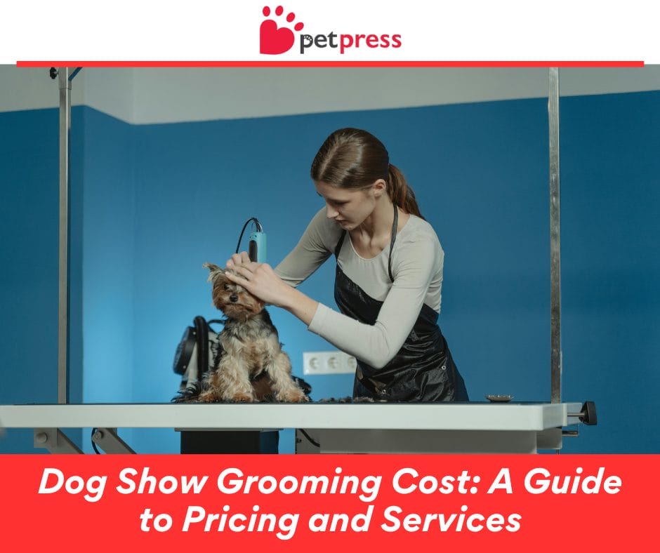 Dog Show Grooming Cost: A Guide to Pricing and Services - PetPress
