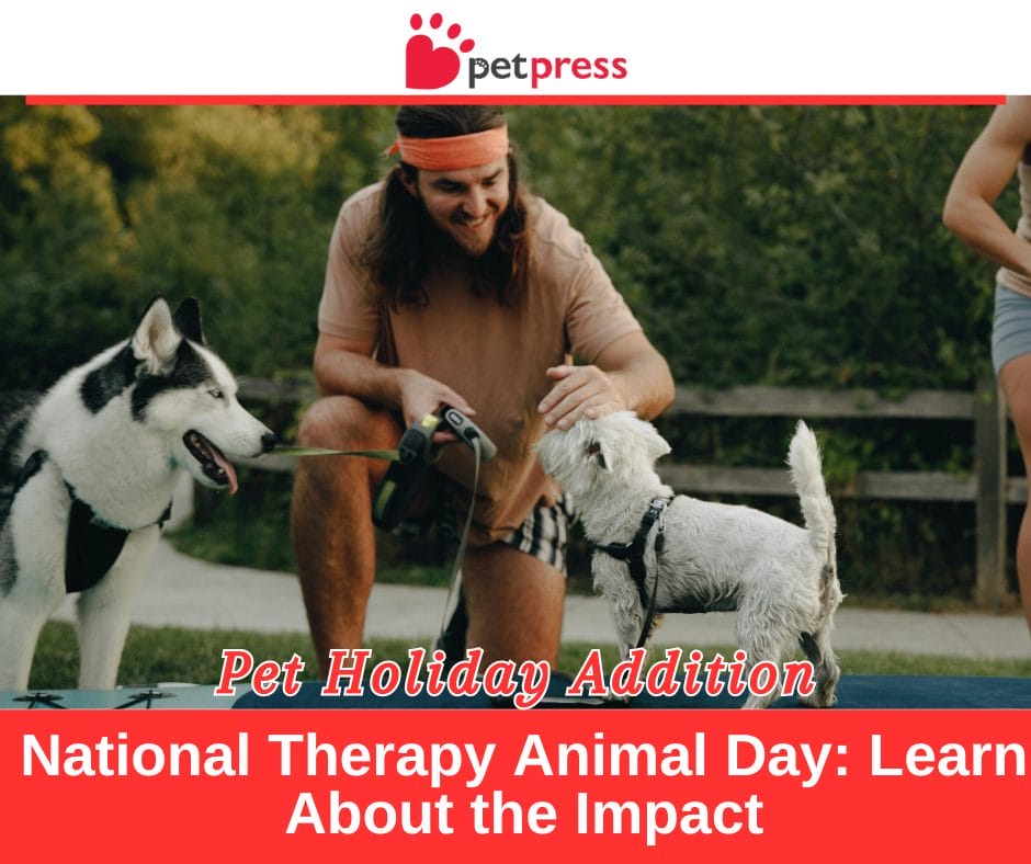 National Therapy Animal Day: Learn About the Impact - PetPress