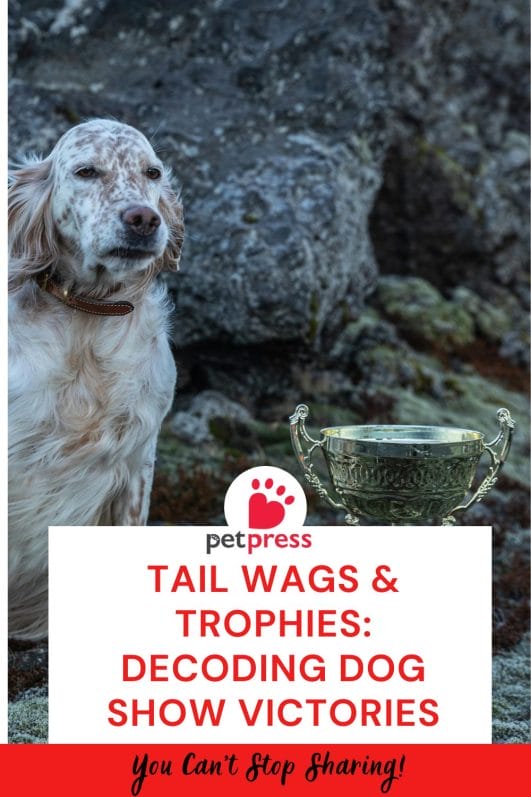 Dog Show Awards: Celebrating Canine Excellence - PetPress