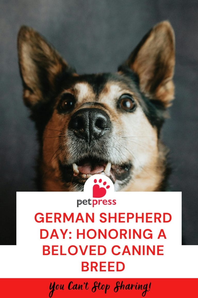 German Shepherd Day: Honoring a Beloved Canine Breed - PetPress