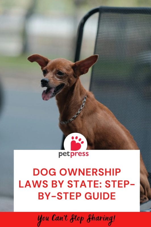 Dog Ownership Laws by State: Step-by-Step Guide - PetPress