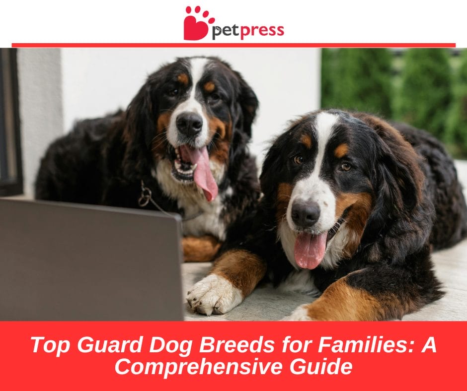 Top Guard Dog Breeds for Families: A Comprehensive Guide - PetPress