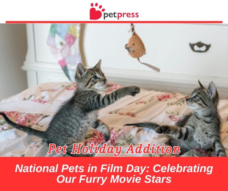 National Pets in Film Day: Celebrating Our Furry Movie Stars - PetPress