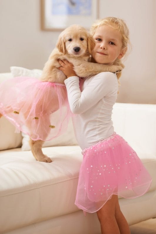 10 Must-Have Fashions and Accessories for Stylish Dogs - PetPress