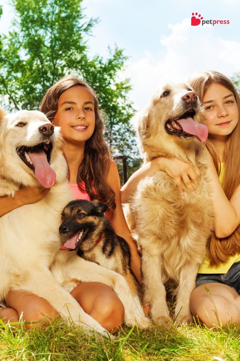 Organizing Pet Events and Meetups: An Easy Guide! - PetPress