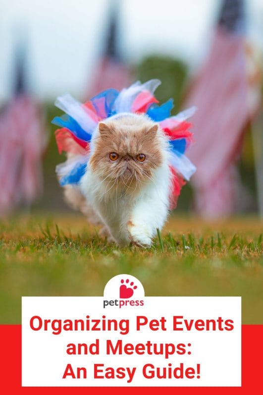 Organizing Pet Events and Meetups: An Easy Guide! - PetPress