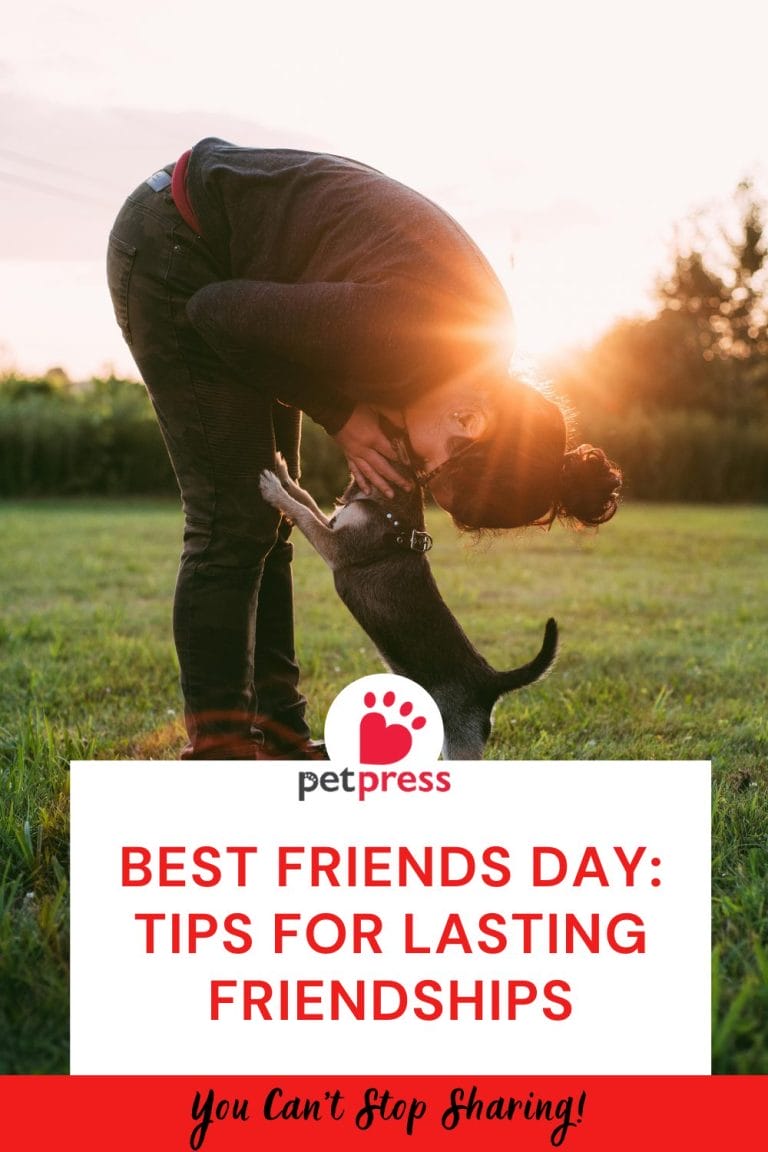 Best Friends Day: Tips for Lasting Pet Friendships - PetPress