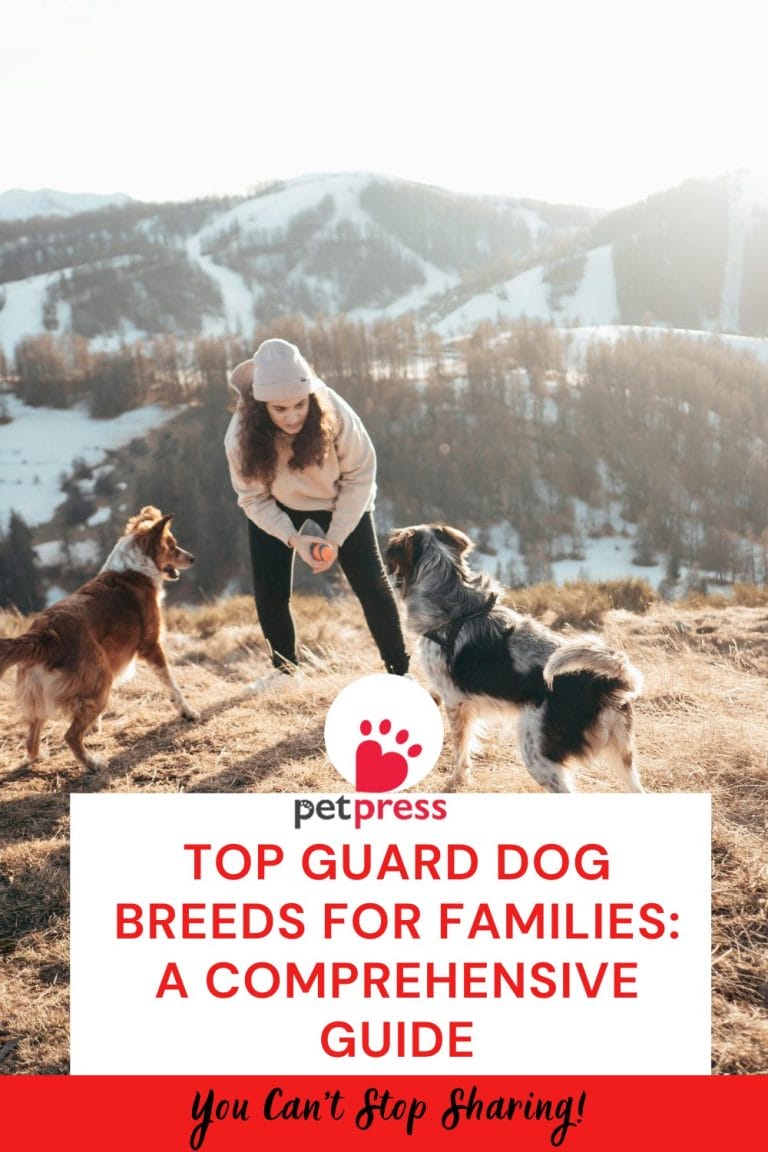 Top Guard Dog Breeds for Families: A Comprehensive Guide - PetPress