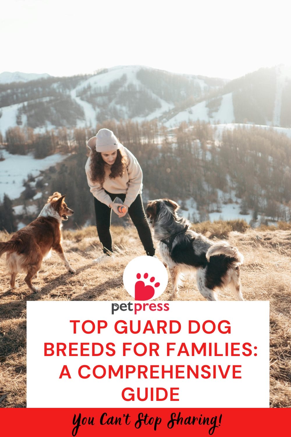 Top Guard Dog Breeds for Families: A Comprehensive Guide - PetPress