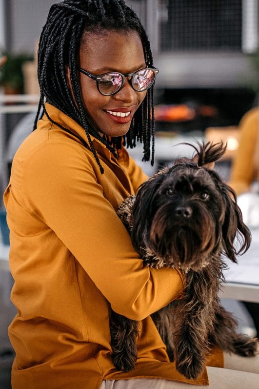 The Rise of Pet-Friendly Workplaces and How to Adapt - PetPress