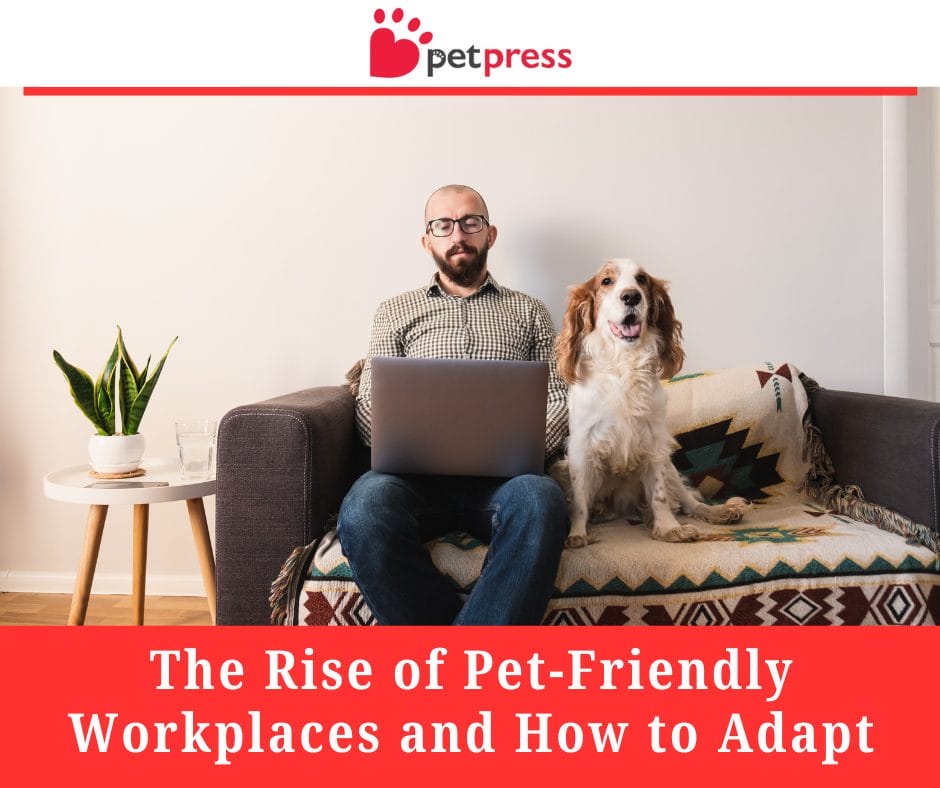 The Rise of Pet-Friendly Workplaces and How to Adapt - PetPress