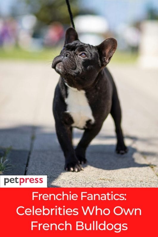 Frenchie Fanatics: Celebrities Who Own French Bulldogs