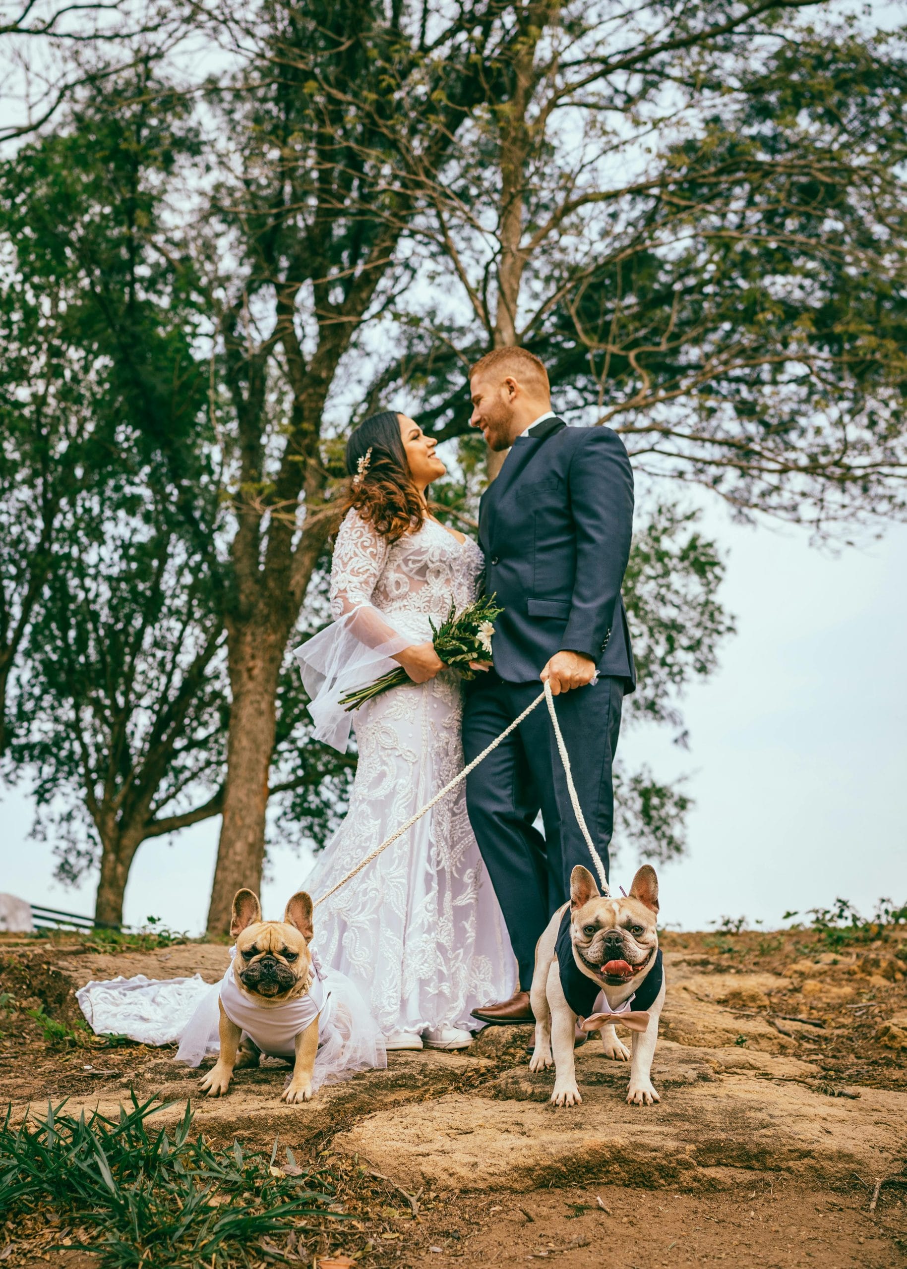 National Pet Wedding Week: A Guide to Love, and Adorable Unions - PetPress