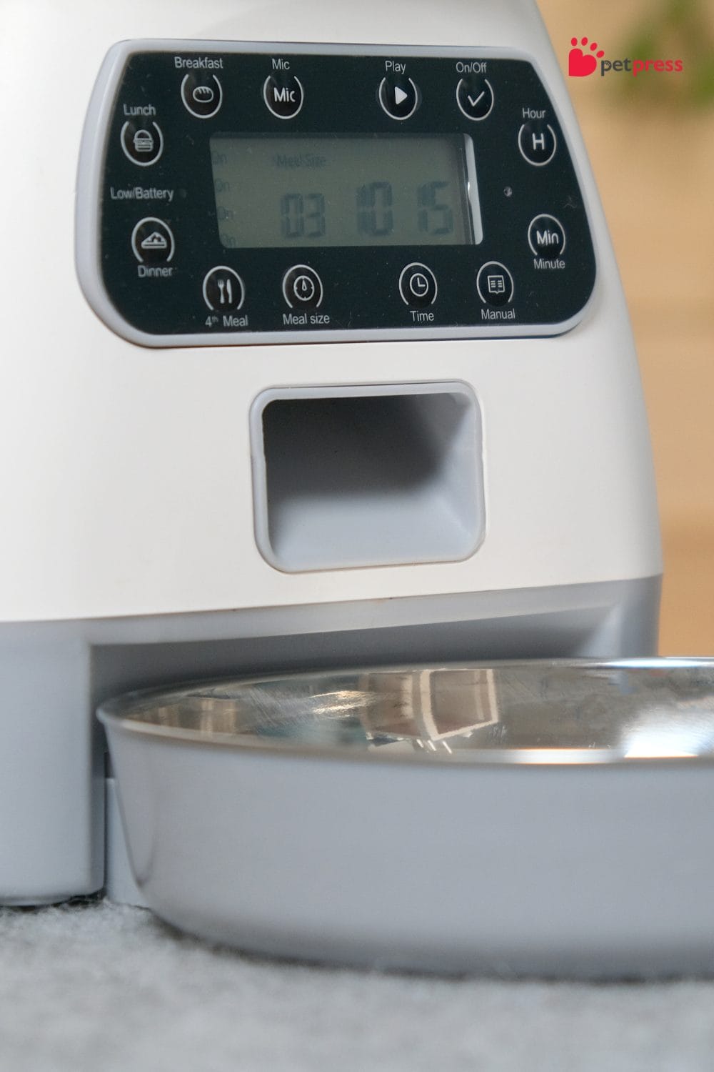 10 Fun and Easy Ways to Introduce Pets to Smart Home Devices - PetPress