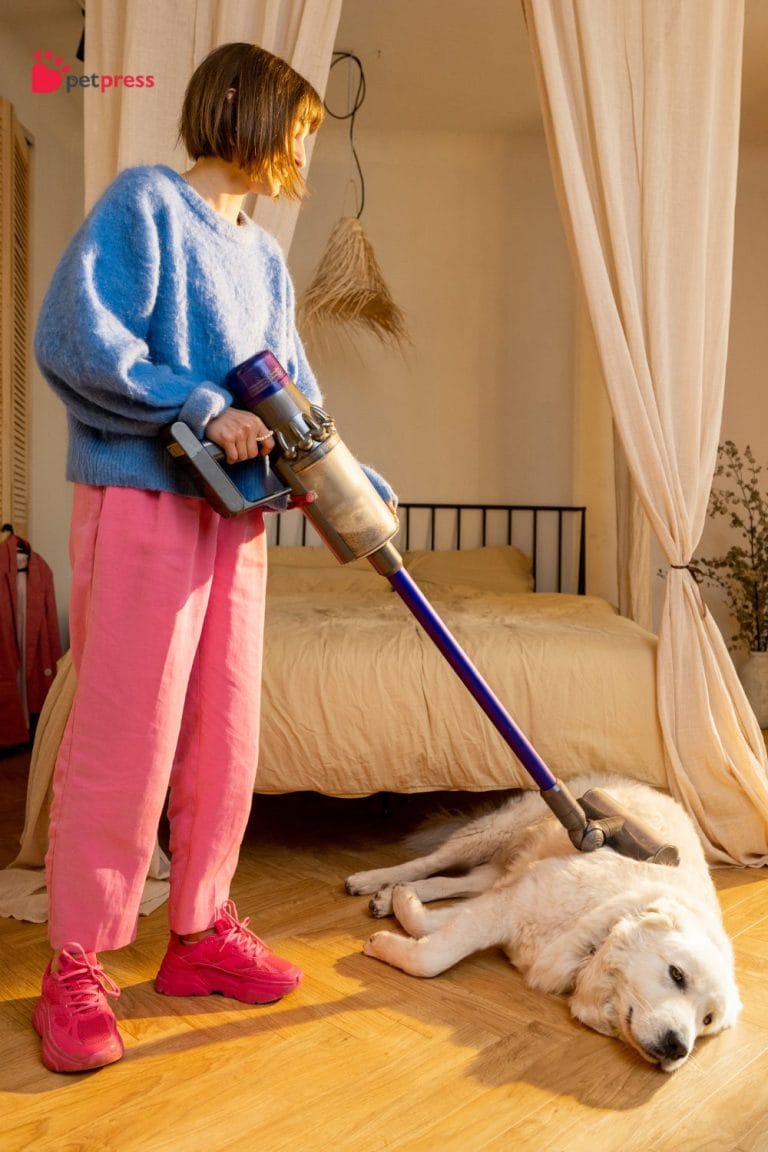 10 Fun and Easy Ways to Introduce Pets to Smart Home Devices - PetPress