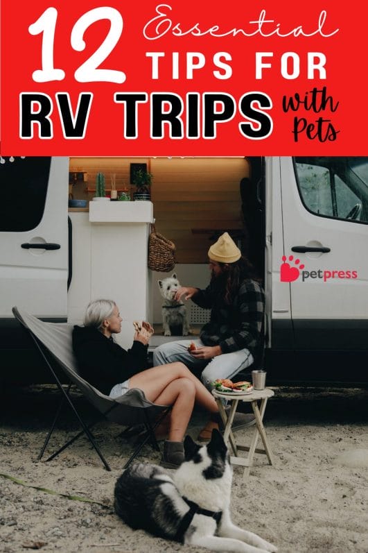 12 Essential Tips for RV Trips with Pets - PetPress