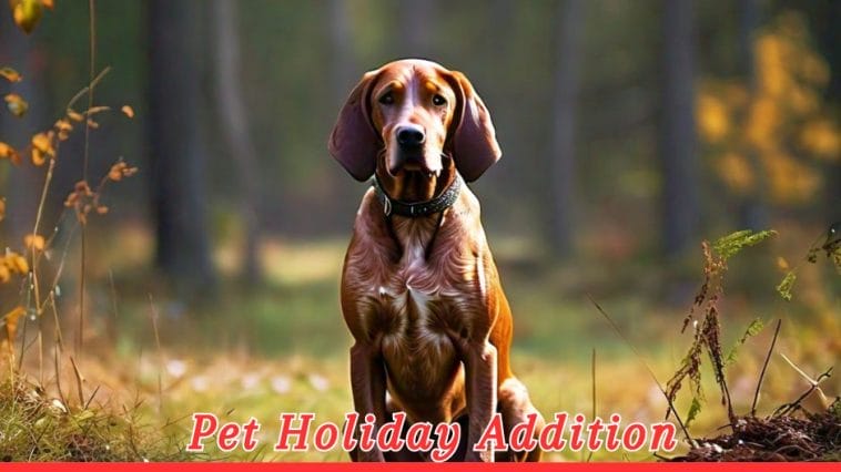 Top 15 Best Dog Breeds For Men - PetPress