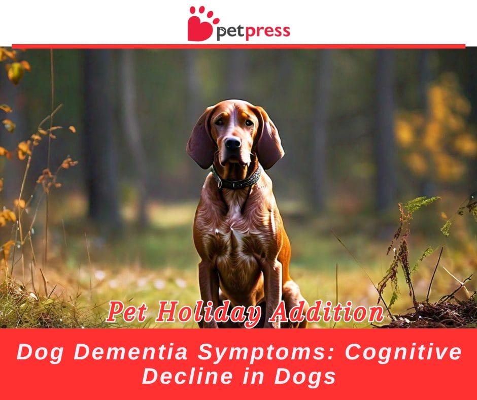 Coon Dog Day: History, and How to Join the Festivities - PetPress