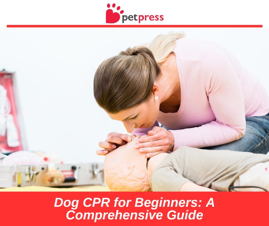 Dog CPR for Beginners: A Comprehensive Guide - PetPress