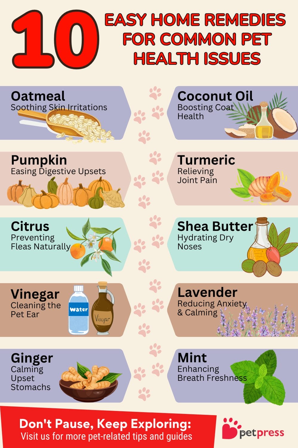 10 Easy Home Remedies for Common Pet Health Issues - PetPress