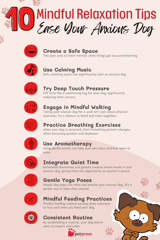 Ease Your Anxious Dog: 10 Mindful Relaxation Tips - PetPress