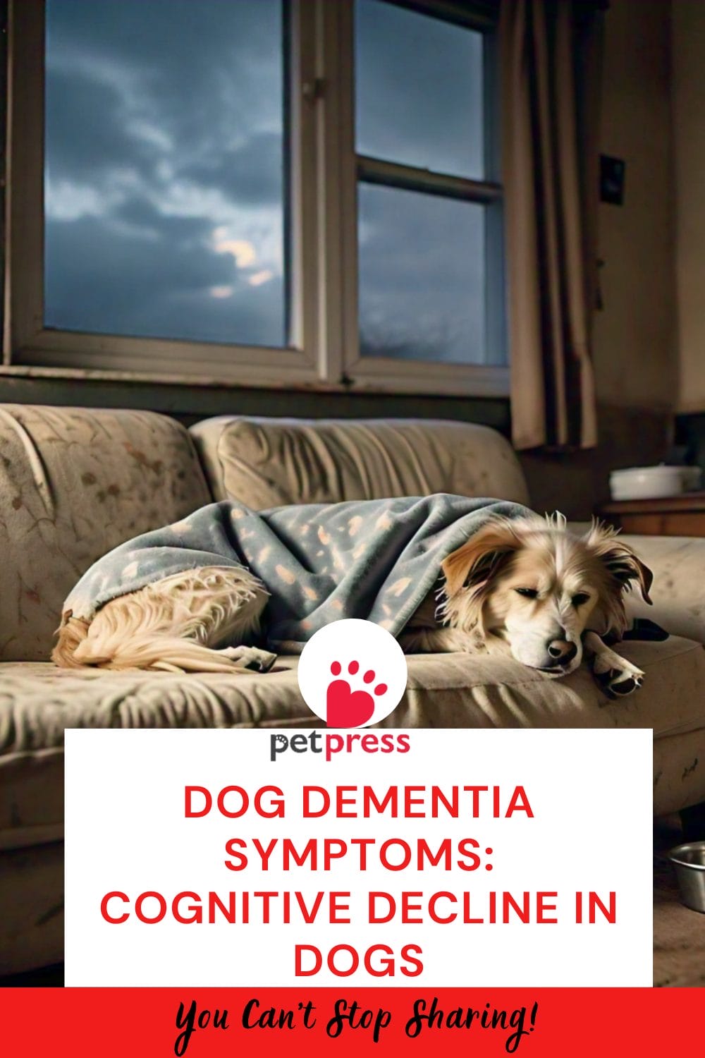 Dog Dementia Symptoms: Cognitive Decline in Dogs - PetPress