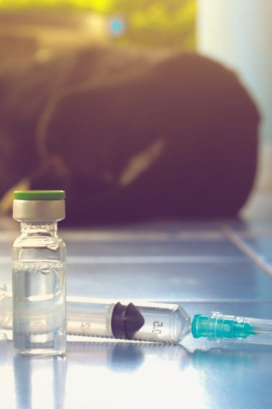Canine Influenza Vaccine: Protecting Your Dog from the Flu - PetPress