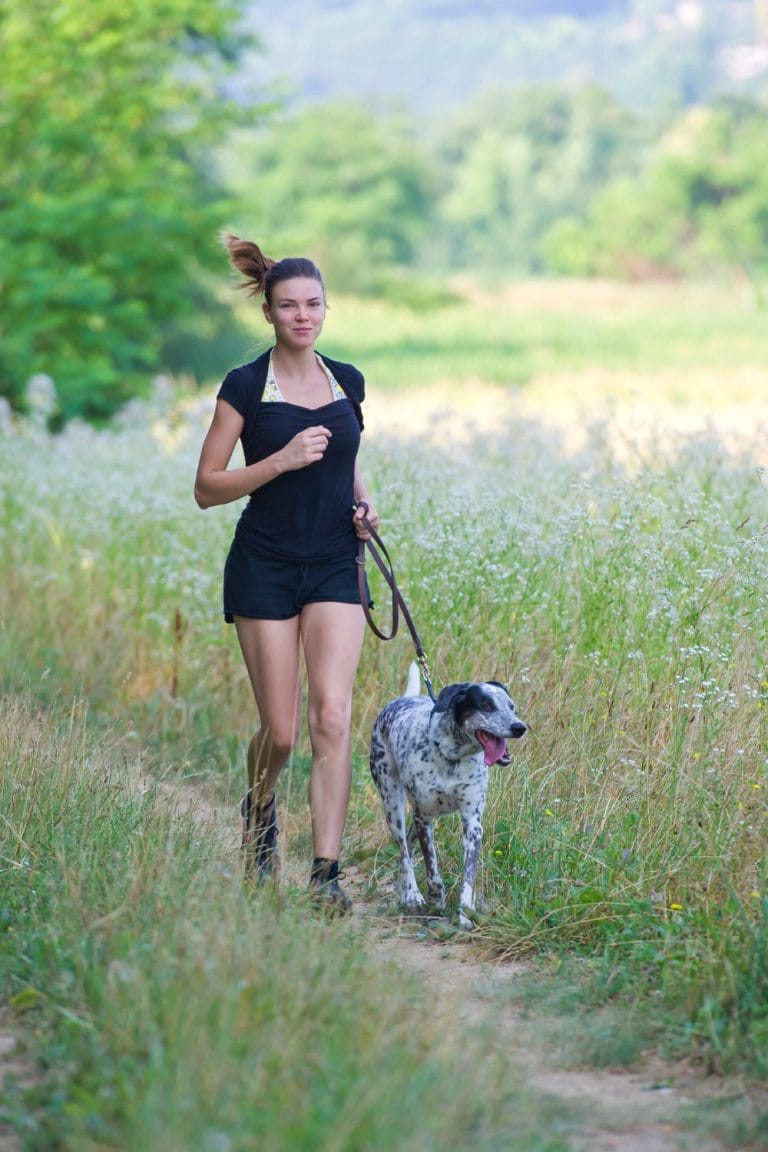 Leash Training a Reactive Dog: Essential Tips and Techniques - PetPress