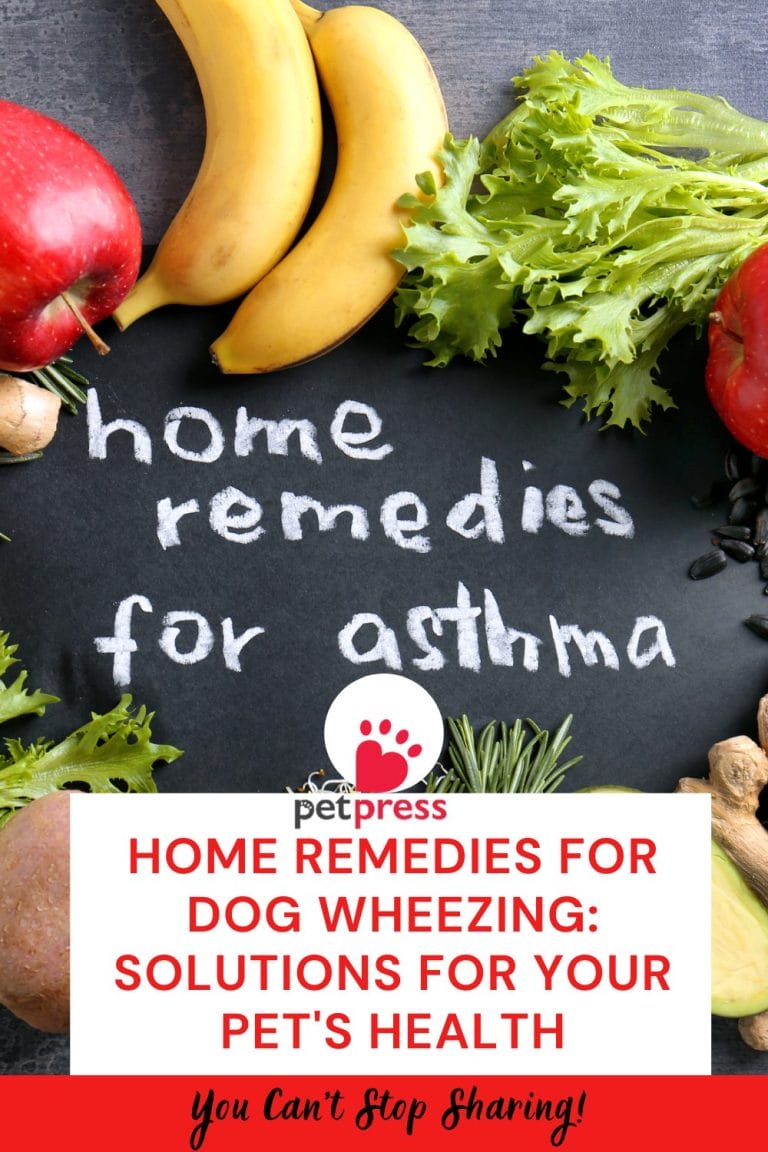 Home Remedies for Dog Wheezing: Solutions for Your Pet's Health - PetPress